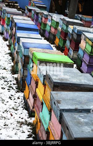 Group beehives in the winter garden with snow covering. Unpacking ...