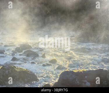 Charm of morning mist. Haze and spray on rapids of mountain river. Ray ...