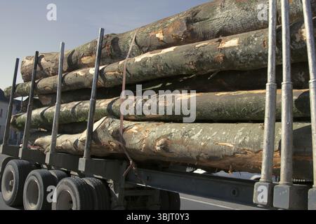 Truck trailer with tree trunks Stock Photo - Alamy