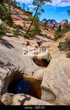 Zion Sandstone Cliff and Vegetation Eye-Level Perspective Stock Photo ...