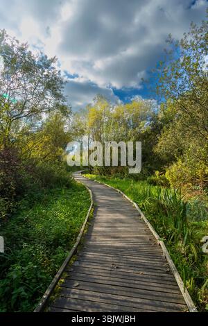Condette (northern France): “Lac des Miroirs” (Mirrors Lake) or Lake ...