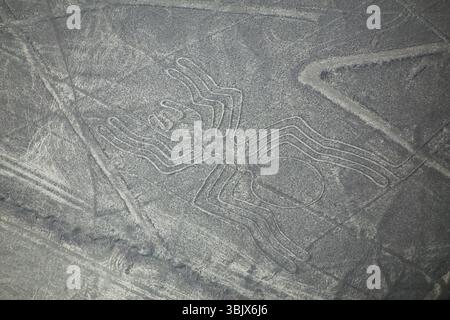 Aerial View of Nazca Geoglyph The Spider. Nazca, Peru Stock Photo - Alamy