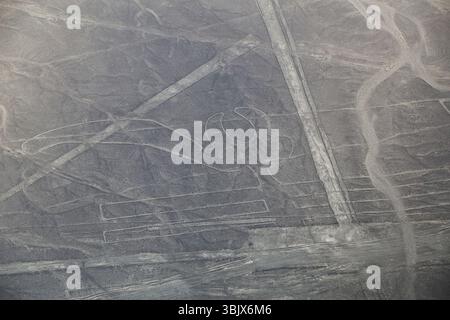 Aerial view of Nazca Lines - Parrot geoglyph, Peru. The Lines were ...
