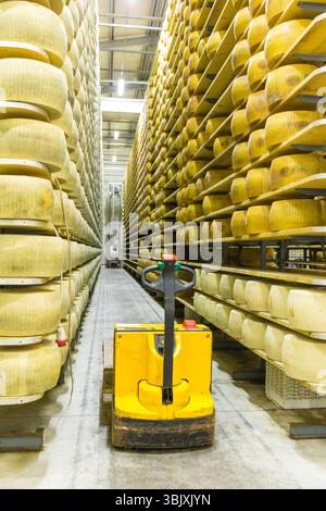 Cheese factory production shelves with aging old cheese Stock Photo - Alamy