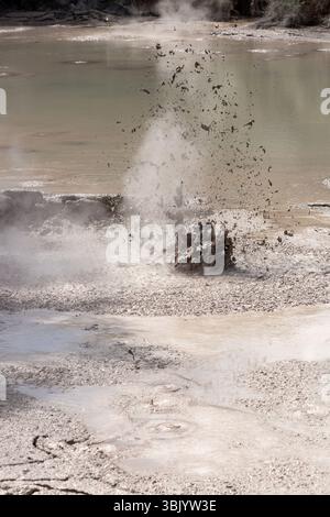 Boiling Mud Pool in Wai-O-Tapu Geothermal Wonderland, Rotorua, New ...