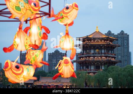 02 May 2025, China, Xi·an: Visitors to the Tang Paradise cultural theme ...