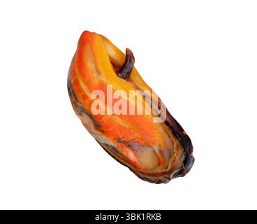 Side view of single cooked green mussels meat is isolated on white ...