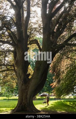 Henrietta Park Bath Somerset England UK Stock Photo - Alamy