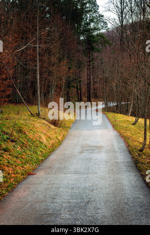 Small Pathway going trough the forest outdoors Stock Photo - Alamy