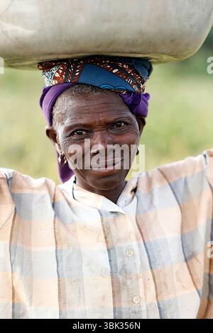 Pineapple picker in Allada, Benin. Pineapple picker in Allada, Benin ...