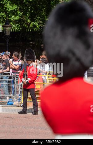 Colour of the Coldstream Guards at Trooping the Colour 2025, in The ...