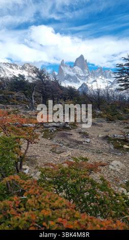 Autumn on Fitz Roy Stock Photo - Alamy