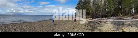 Panorama of hikers on the shoreline of Masset Inlet near Port Clement ...