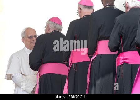 Pope Leo XIV greets the bishops during his weekly general audience in ...