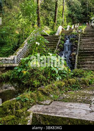 Famous water stairway Fonte Fria in the magical ancient forest of ...