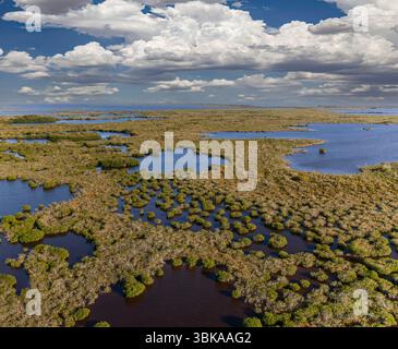 Everglades National Park, The Largest Subtropical Wilderness in the ...