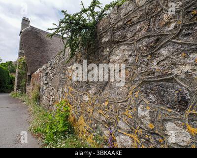 Lustleigh, Devon, England. Traditional thatched cottages in the pretty ...
