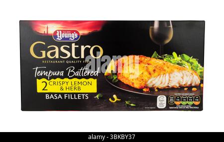 Youngs gastro lemon and herb tempura battered frozen basa fish fillets ...