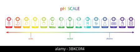 PH Scale chart. Indicator of indications, measurements and table of ...