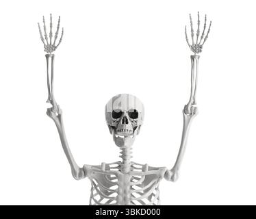 Scary human skeleton with raised hands on red background Stock Photo ...