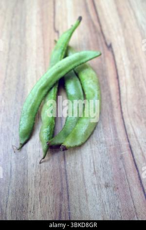 Group Of Hyacinth Bean or Same Ki Phalli Lablab Purpures, Also Known As ...