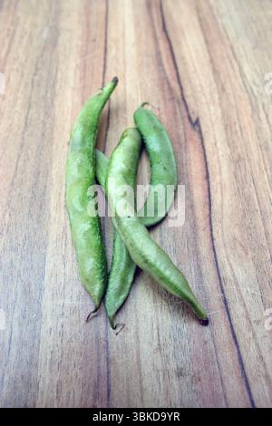 Group Of Hyacinth Bean or Same Ki Phalli Lablab Purpures, Also Known As ...