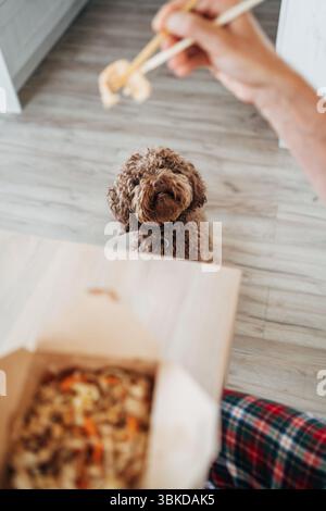 Man feeding cute dog with food from metal bowl Stock Photo - Alamy