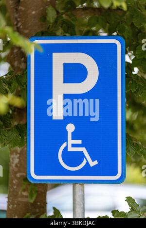 Dutch traffic sign denoting parking spot reserved for people with ...