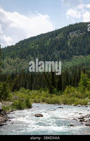The Elbow River and Elbow Falls as it runs through the southwestern ...