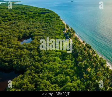 Breathtaking aerial view of Rincón del Mar showcasing lush greenery ...