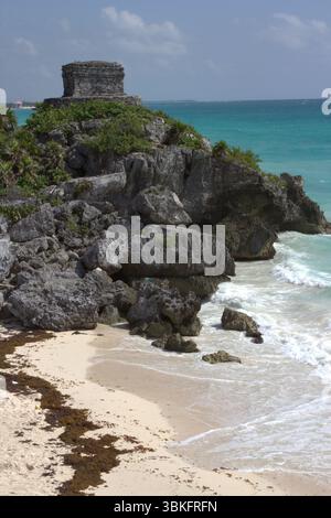Mexico, Quintana Roo, Tulum, Tequila Stock Photo - Alamy
