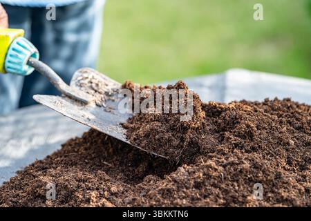 Hand holding peat moss organic matter improve soil for agriculture ...