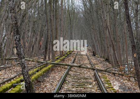 An old abandoned railway covered with fallen autumn leaves in a park ...