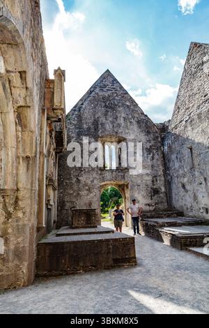Ruins of Muckross Abbey (Mainistir Locha Léin, Mainistir Mhucrois ...