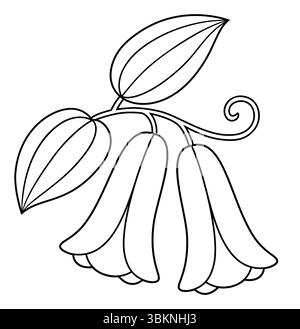 Copihue, Chilean bellflower, national flower of Chile. Illustration set ...