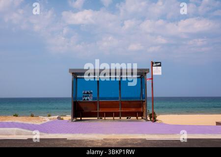BTS Bus Stop, June 19, 2025 : 'BTS Bus Stop' is seen on Hyangho beach ...