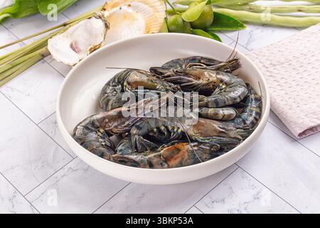 Raw wild frsh Tiger prawn for cooking Stock Photo - Alamy