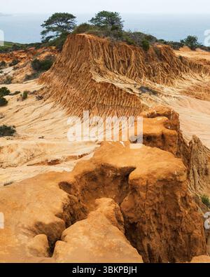 Sandstone cliffs of Torrey Pines and the Pacific Ocean Stock Photo - Alamy
