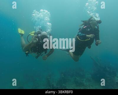 PADI Scuba diver diving in coral reef Raja Ampat, Indonesia Stock Photo ...