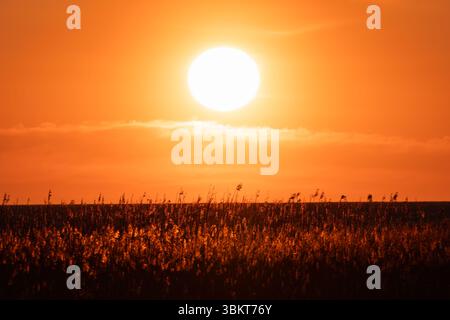 Beautiful bright sunset over a large plowed field in the spring evening ...
