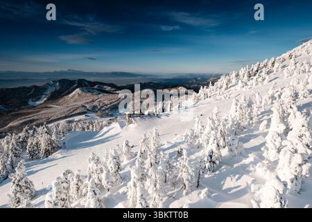 Yamagata Zao Juhyo Stock Photo - Alamy