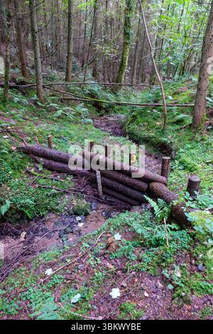 Log dam and water gauge at monitoring point #3 measure flow in a small ...