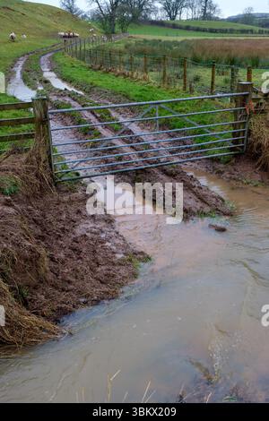 Muddy farm track flooded by stream, blocking access through the gate ...