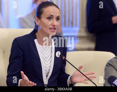 Romanian Minister of Foreign Affairs Toiu Holds Press Briefing ...