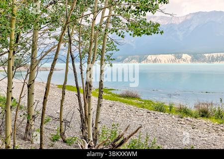 Landscapes along the shores of Abraham Lake in David Thompson Park in ...