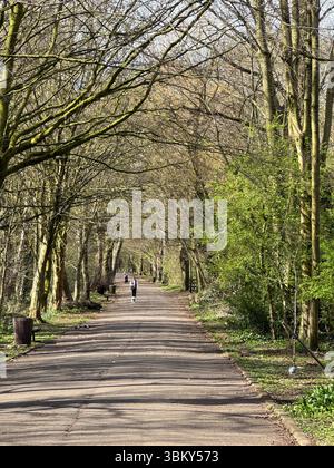 Green Drive woodland, Lytham St Annes, Lancashire, England, UK Stock ...
