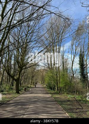 Green Drive woodland, Lytham St Annes, Lancashire, England, UK Stock ...