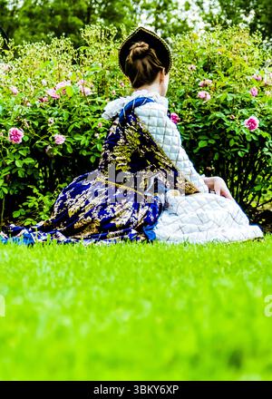 decorative rose in the garden, close-up, top view Stock Photo - Alamy