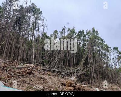 heavy storms or thunderstorms as challenging weather conditions ...