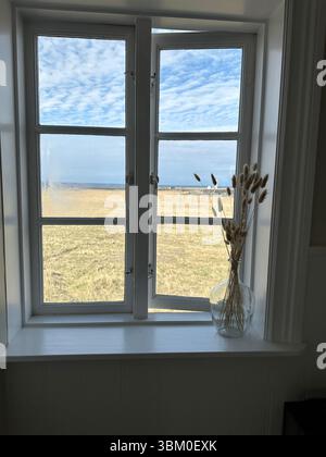 Dried bunny tail grass in vase on sunset. Shadows on the wall. Minimal ...